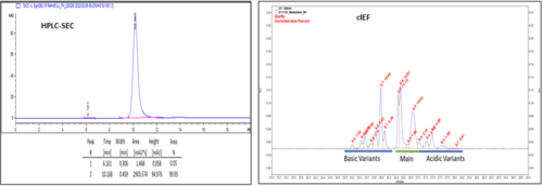 Process Development & Characterization - Aragen Bioscience