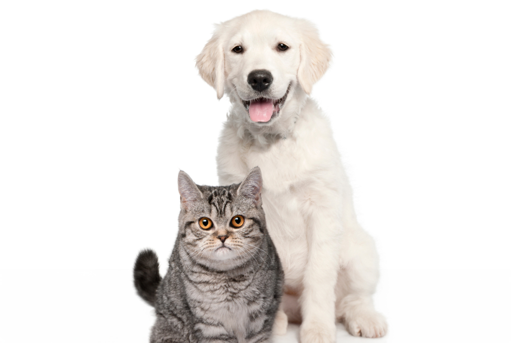 Technical Content - Aragen Bioscience