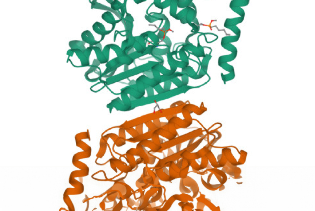 Technical Content - Aragen Bioscience
