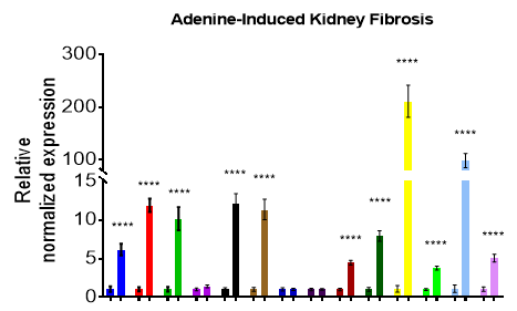 Fibrosis - Aragen Bioscience
